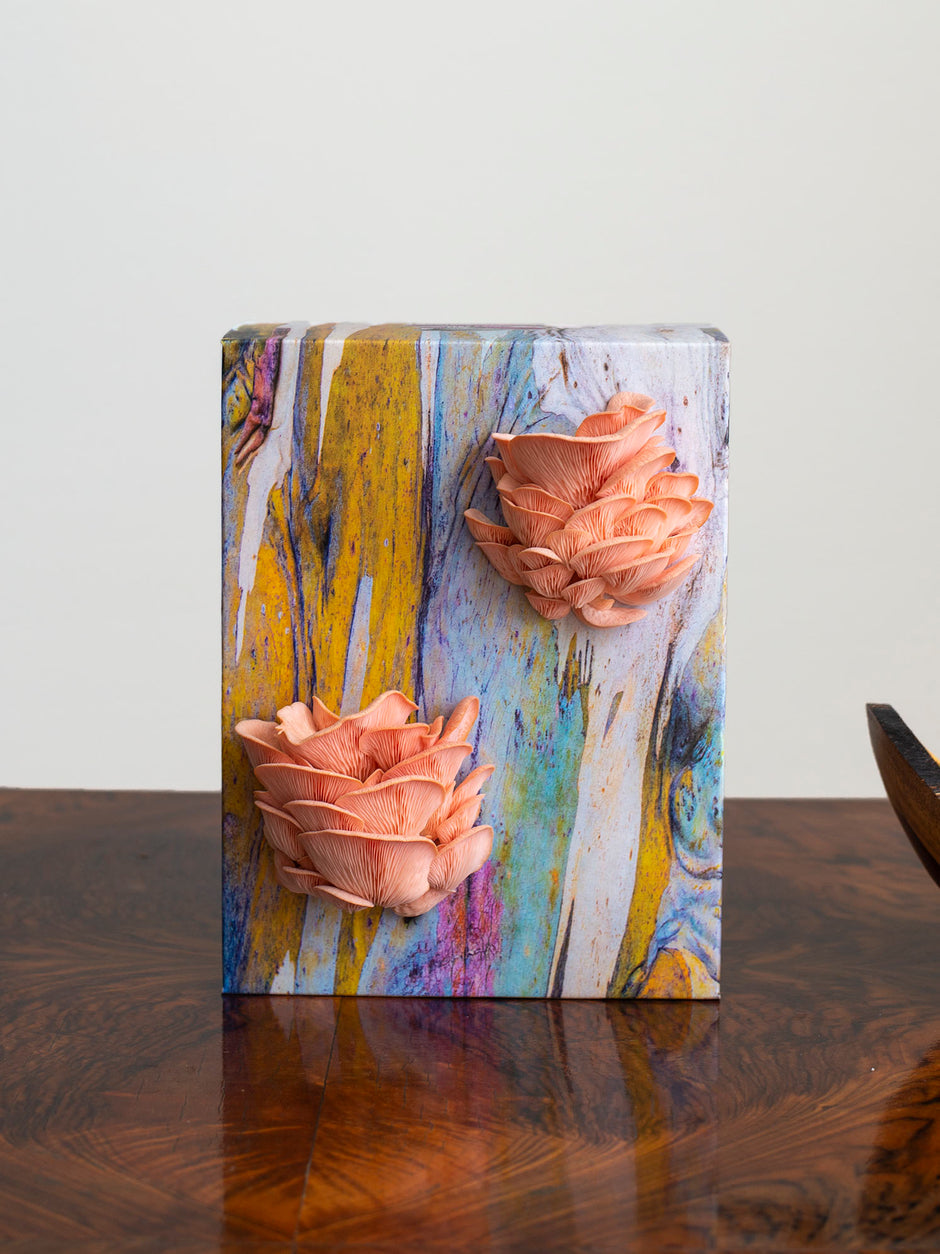 Pink Buffalo Organics - Mushrooms For Your mind, Body, and Soul.